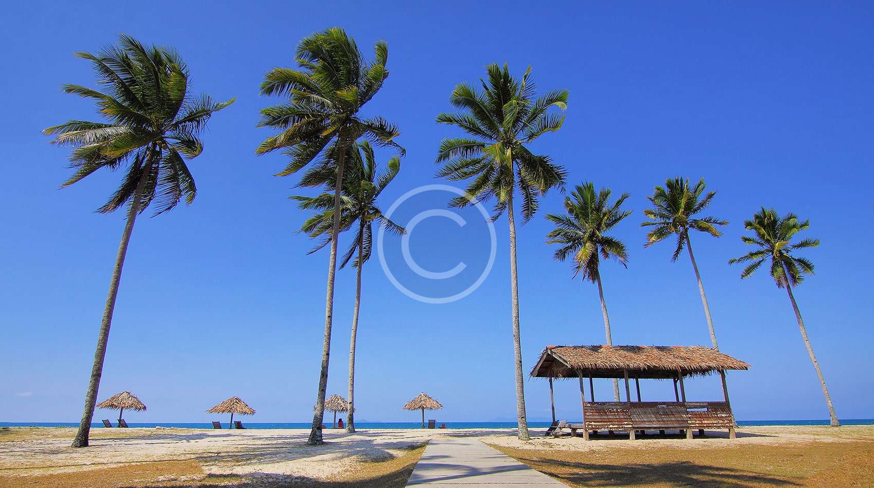 Make a Reservation - Top DC Potomac River Fishing Charters ...